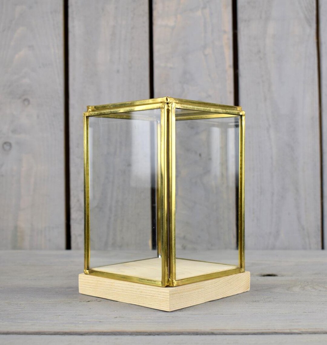 Glass and Brass Display Showcase Box Dome With Wooden Base Tall 17.5 Cm ...