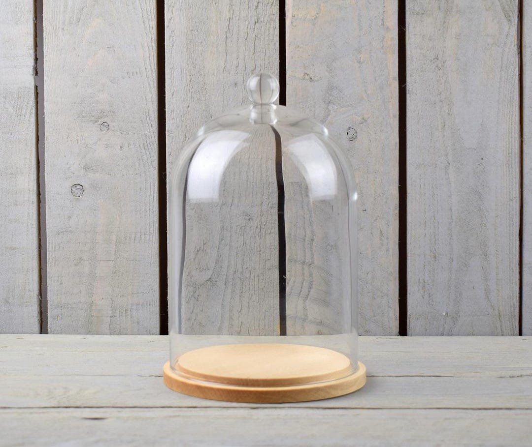 EMH Handmade Circular Glass Display Cloche Dome Bell With Knob and ...