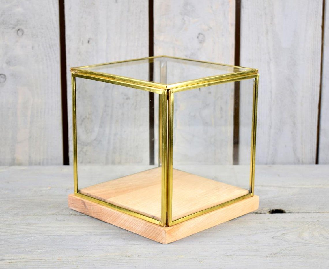 Glass and Brass Display Showcase Box Dome With Wooden Base 15.5 Cm - Etsy