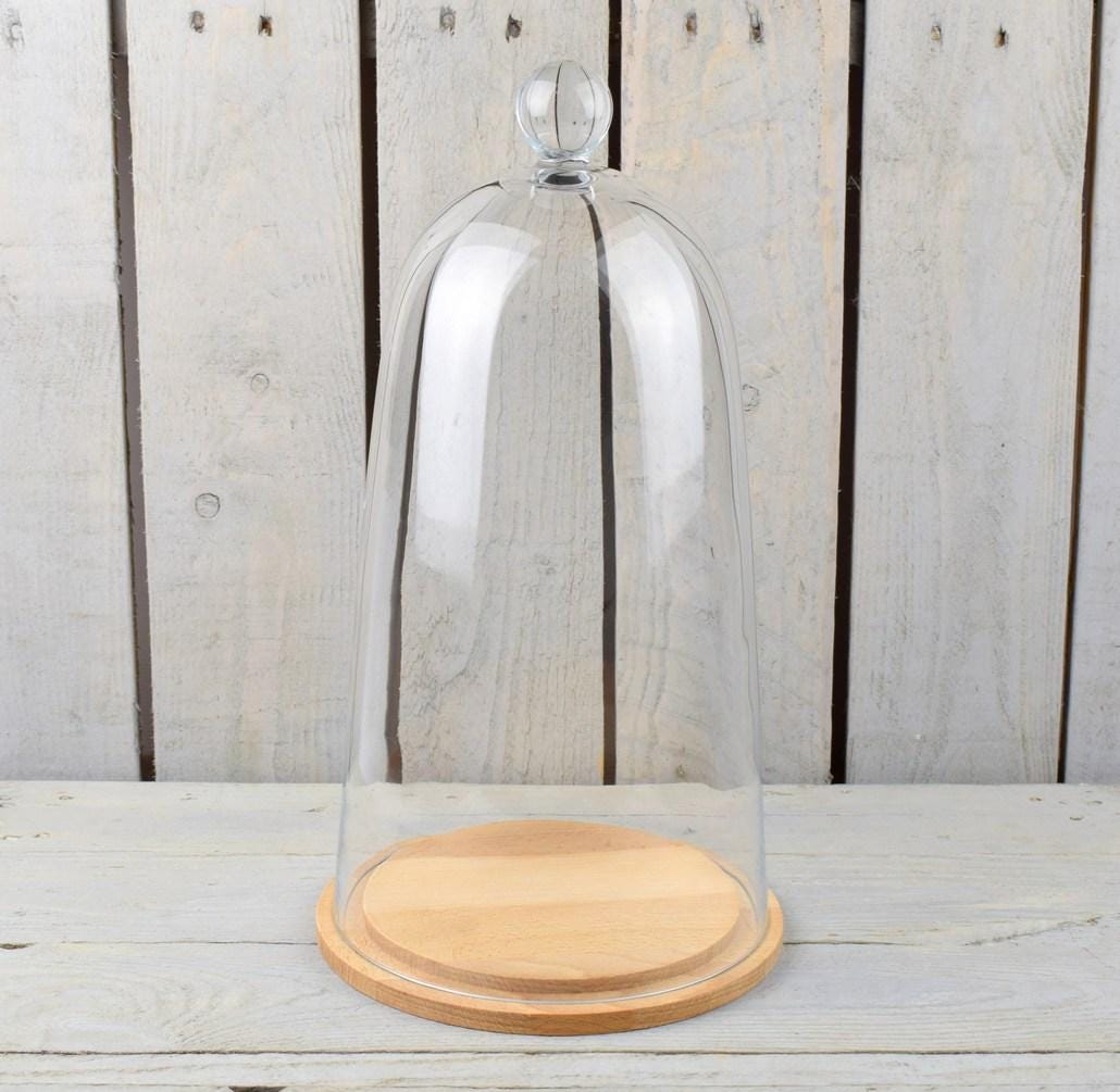 EMH Large Mouth Blown Glass Display Cover Cloche Bell Dome With Natural ...