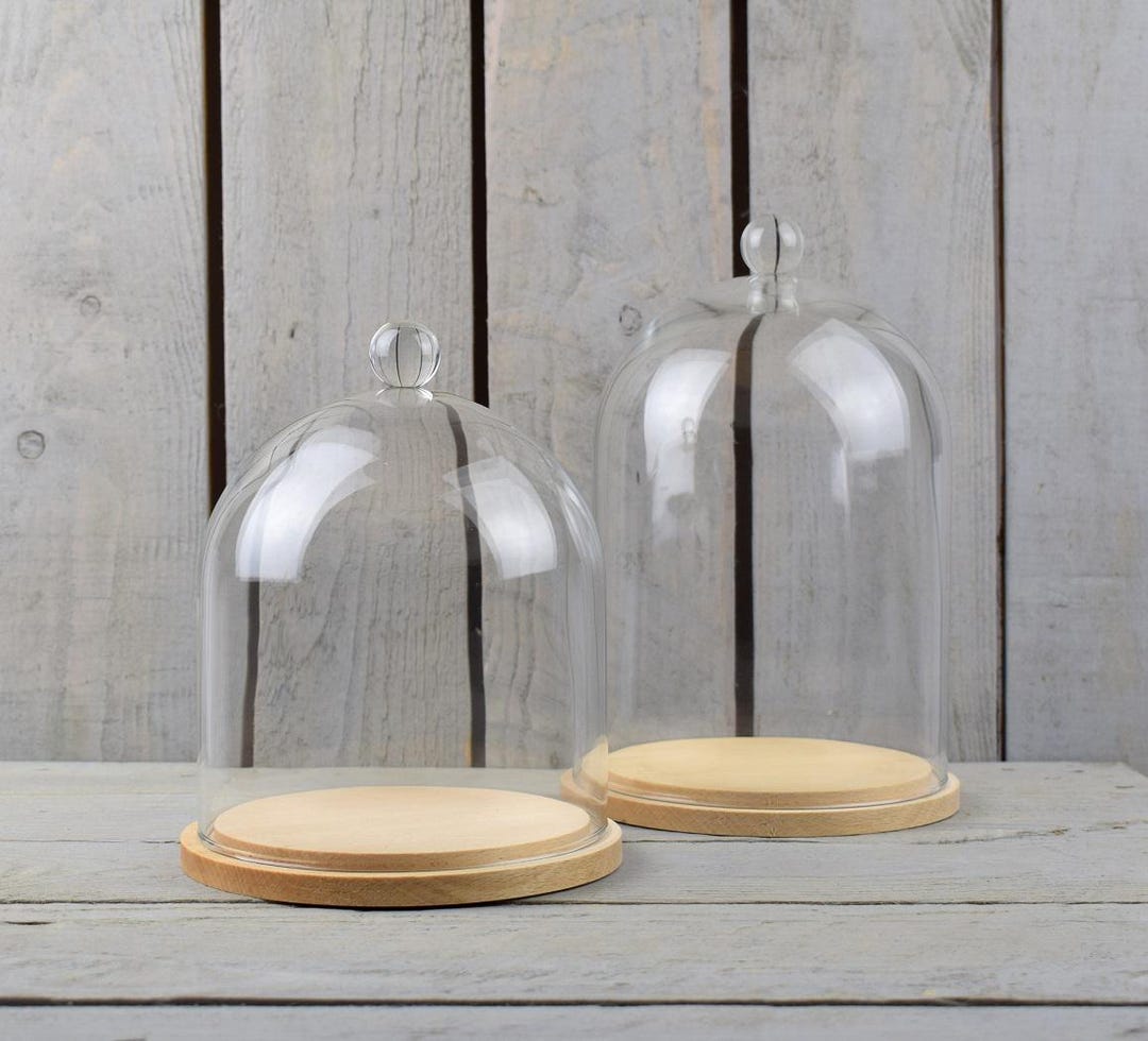 EMH Handmade Circular Glass Display Cloche Dome Bell With Knob and ...
