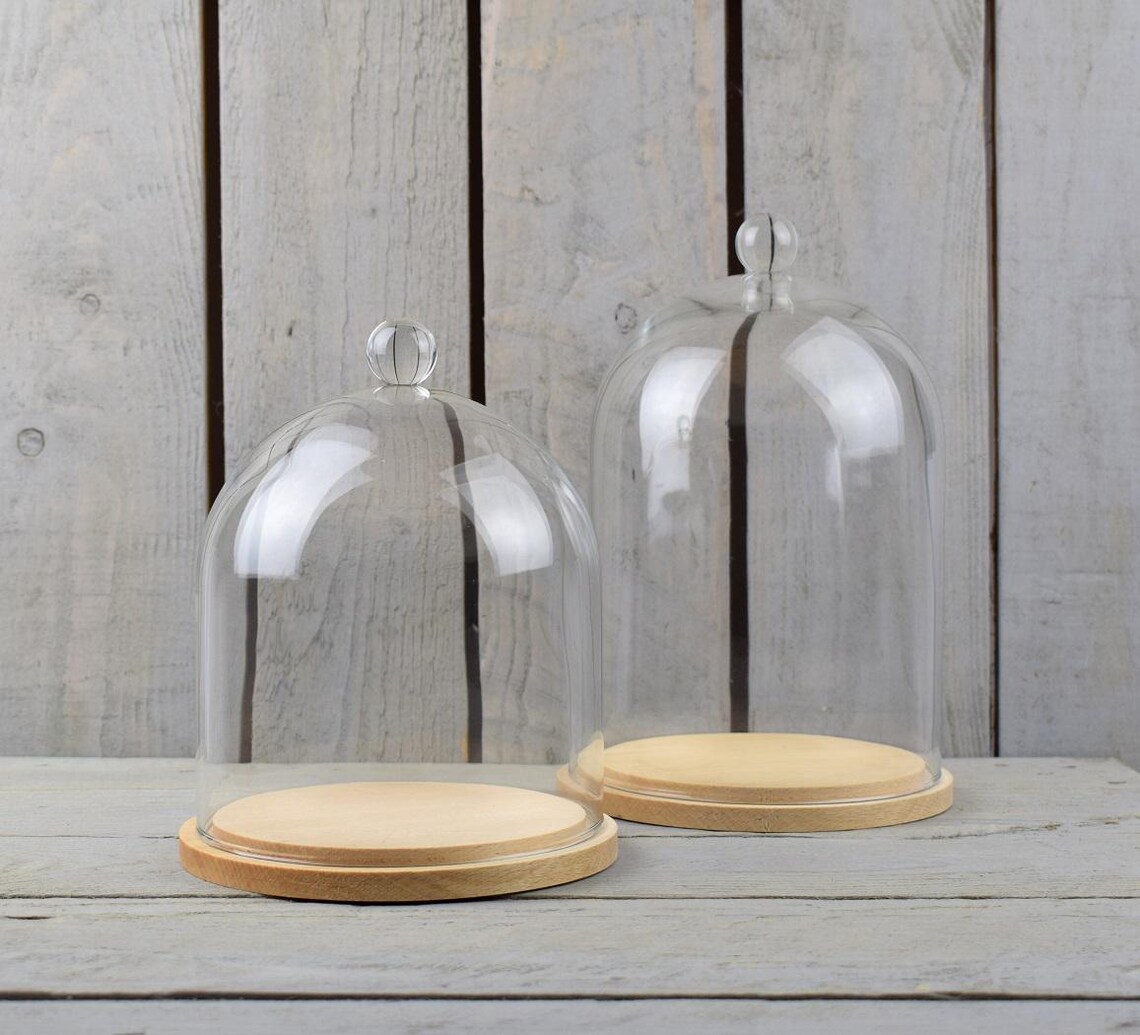 EMH Handmade Circular Glass Display Cloche Dome Bell With Knob and ...