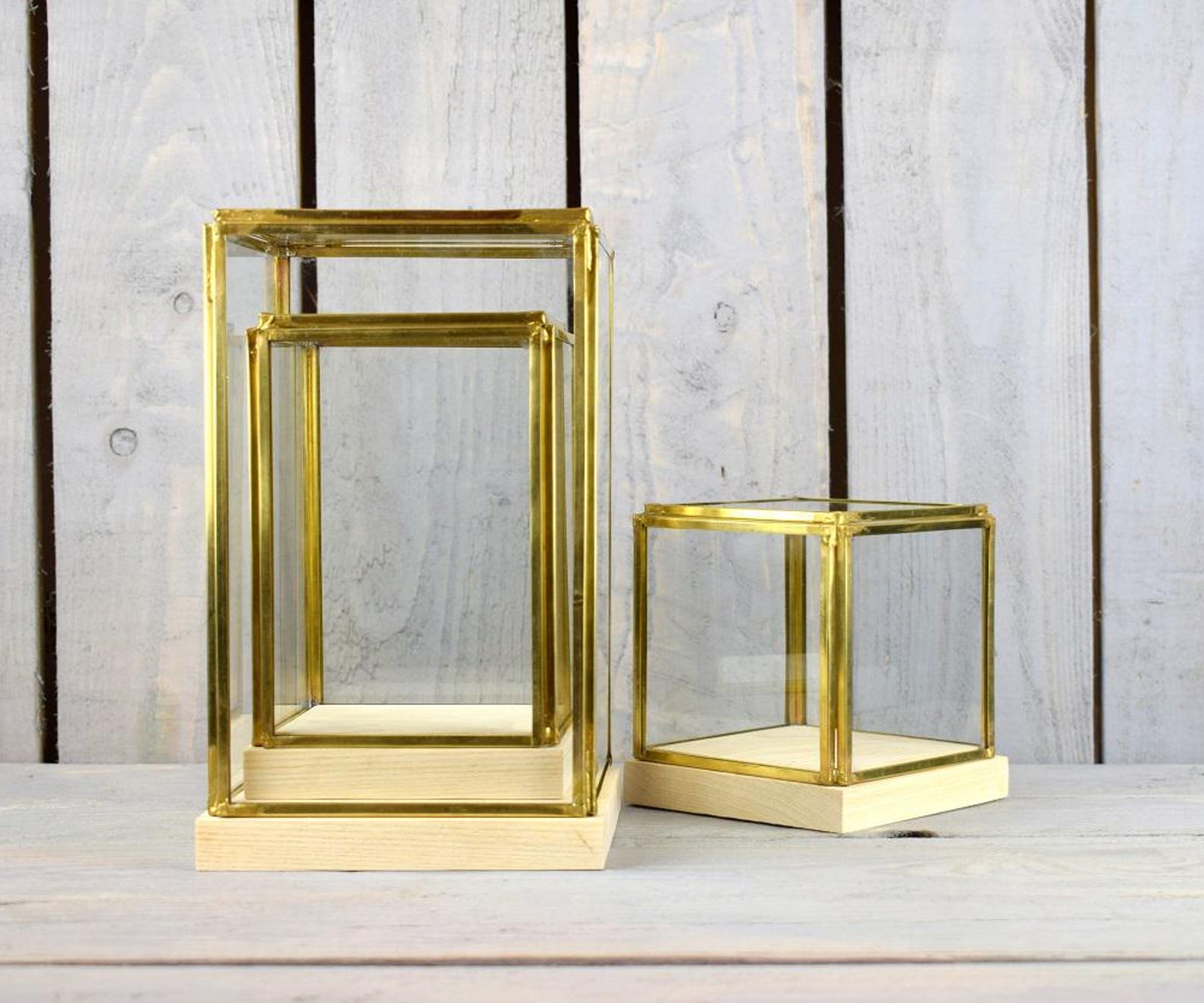 Glass and Brass Display Showcase Box Dome With Wooden Base Tall 17.5 Cm ...