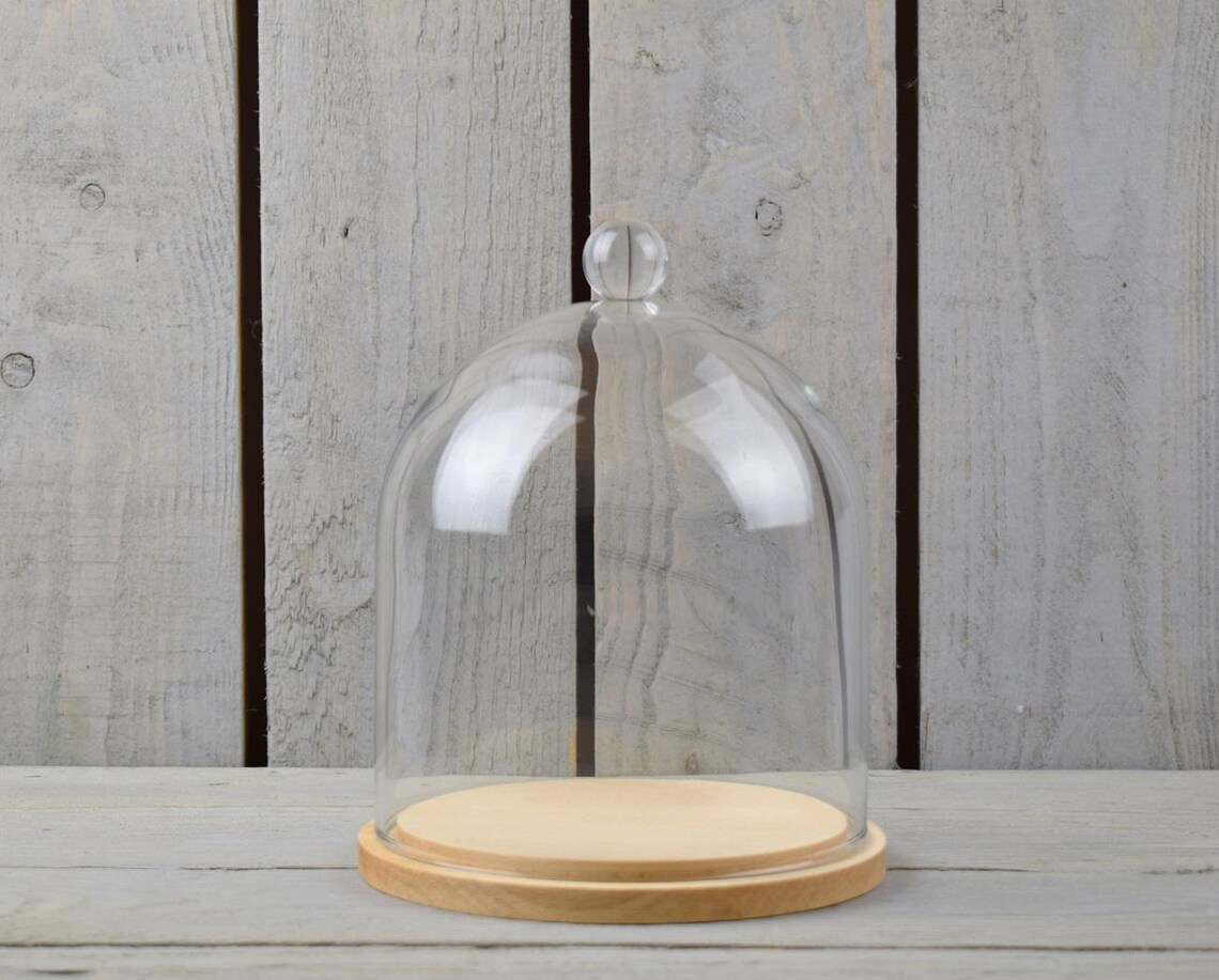 EMH Handmade Circular Glass Display Cloche Dome Bell With Knob and ...