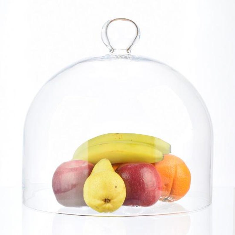 30cm Cloche - Etsy UK