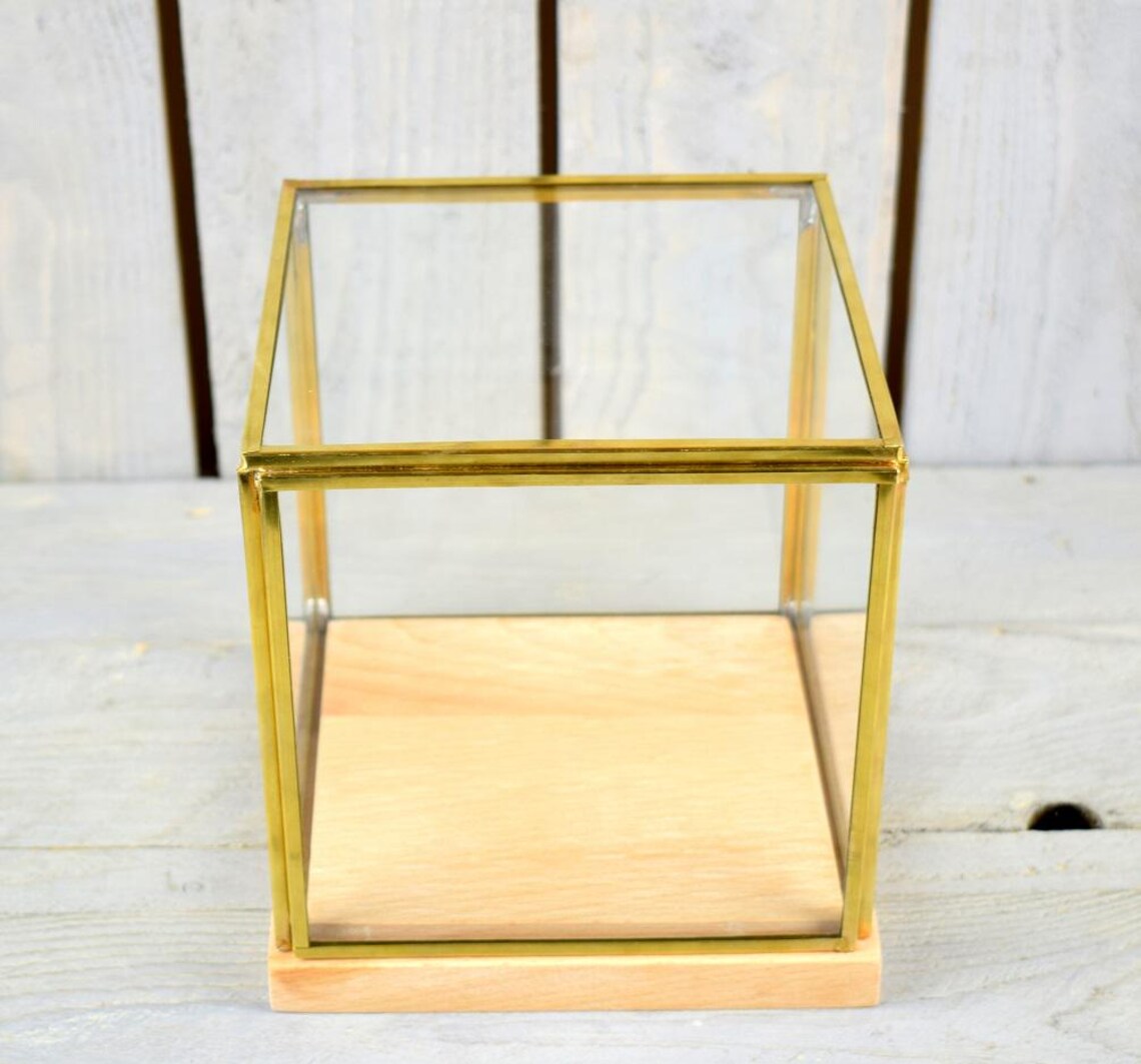 Glass and Brass Display Showcase Box Dome With Wooden Base 15.5 Cm - Etsy