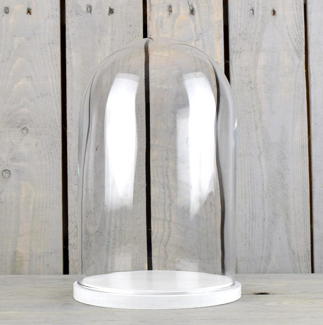 Small Glass Dome Display Cover Cloche White Wooden Base Height 27.5cm ...