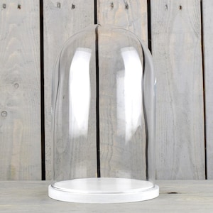 Small Glass Dome Display Cover Cloche White Wooden Base Height 27.5cm ...