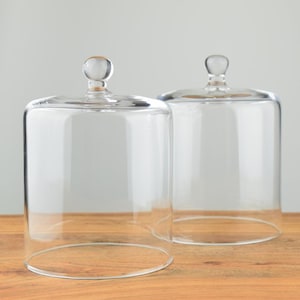 EMH Handmade Glass Display Cover Cloche Bell Dome With Knob Tall 14.5 ...
