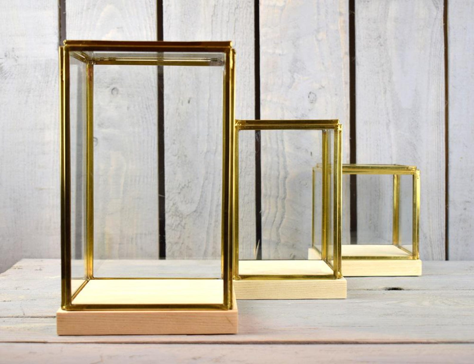 Glass and Brass Display Showcase Box Dome With Wooden Base Tall 17.5 Cm ...