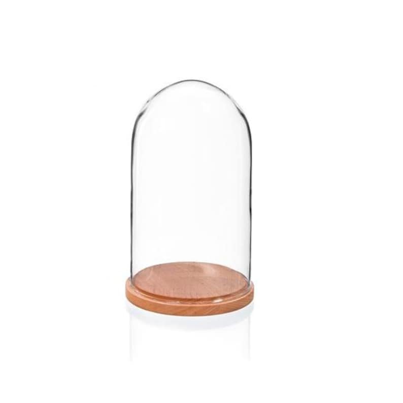 Small Glass Display Cover Dome Cloche With Natural Beech Base Height 27 ...