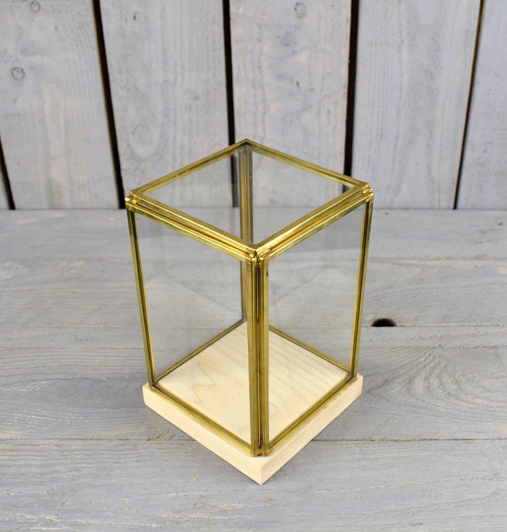 Glass and Brass Display Showcase Box Dome With Wooden Base Tall 17.5 Cm ...