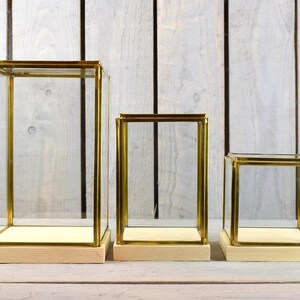 Glass and Brass Display Showcase Box Dome With Wooden Base Tall 23.5 Cm ...