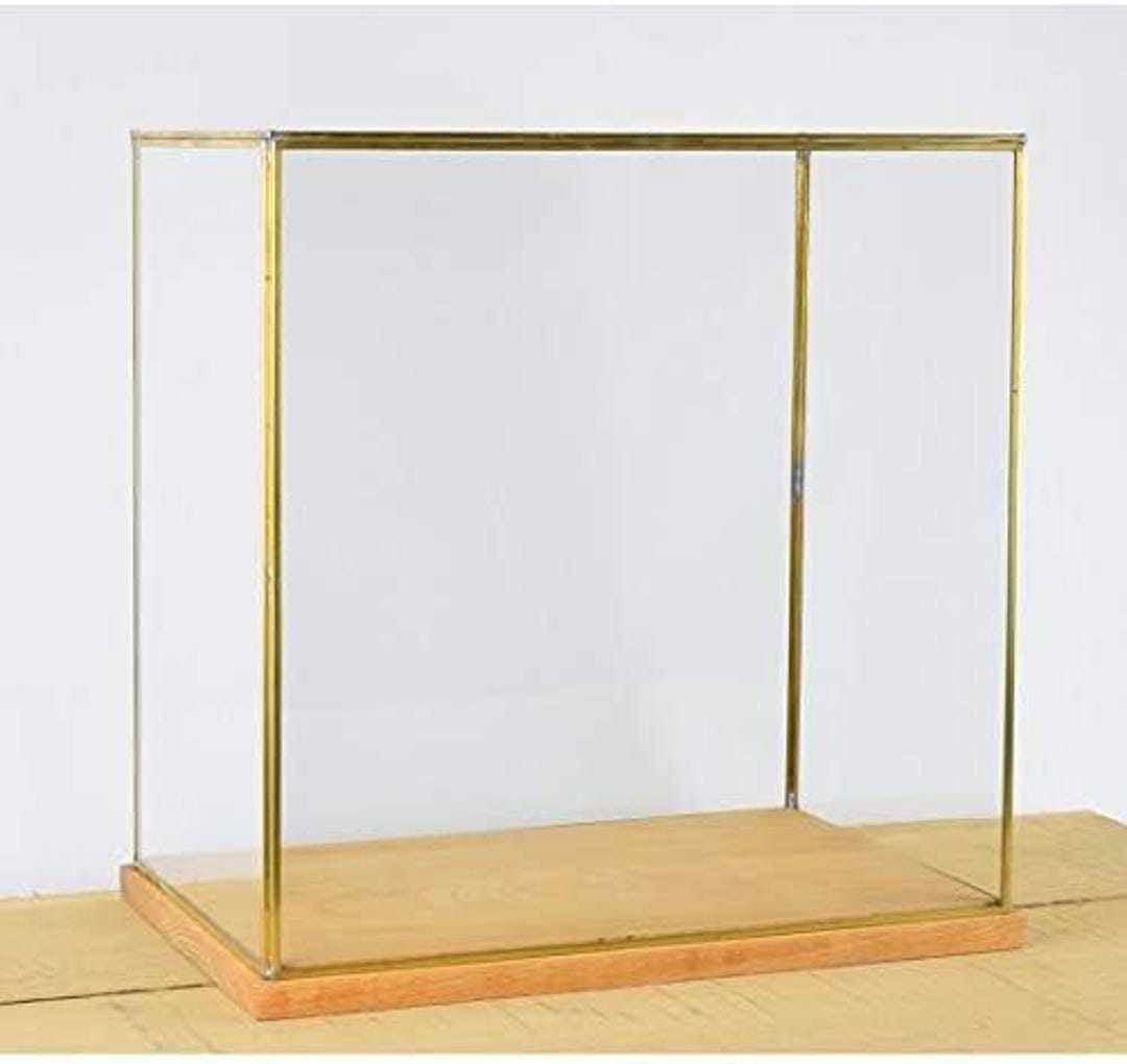 Glass and Brass Metal Frame Display Showcase Box Oak Base - Etsy