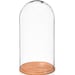 Handmade Clear Circular Glass Display Cloche Bell Dome With Natural ...