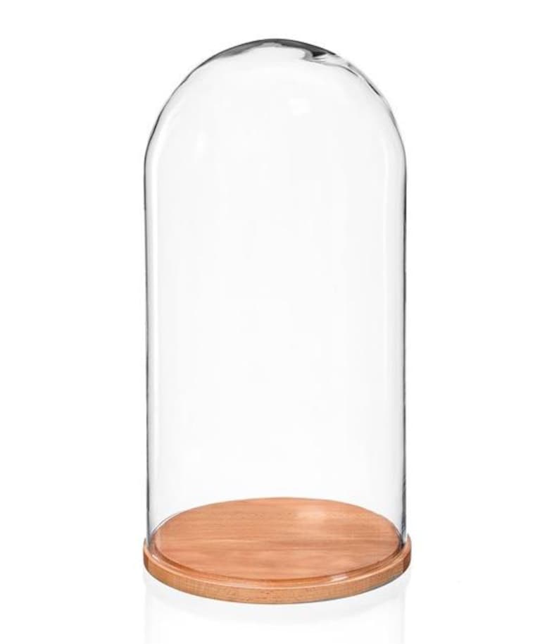 Handmade Clear Circular Glass Display Cloche Bell Dome With Natural ...