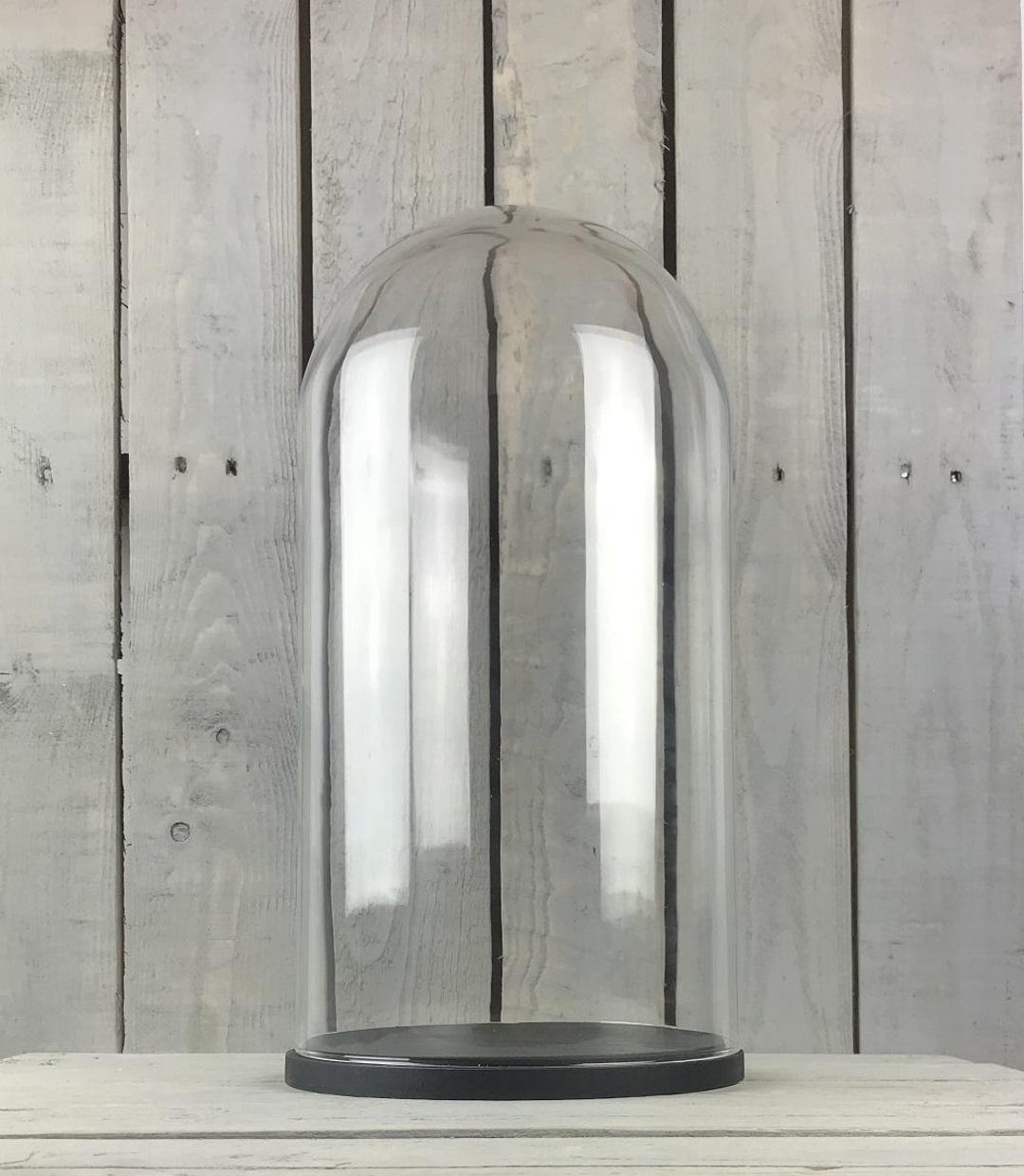 EMH Large Glass Dome Display Cover Cloche Black Base Height 51.5 X 21 ...