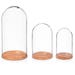 EMH Large Display Glass Dome With Natural Beech Base Height 41.5 X 16 ...