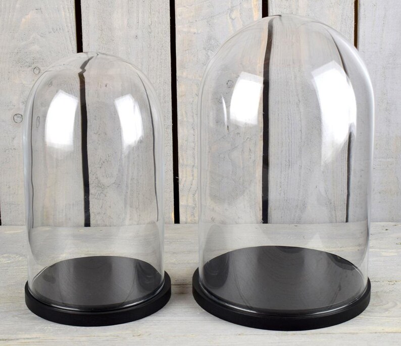 EMH Small Glass Dome Display Cloche Black Base Height 16 X 10 Cm - Etsy