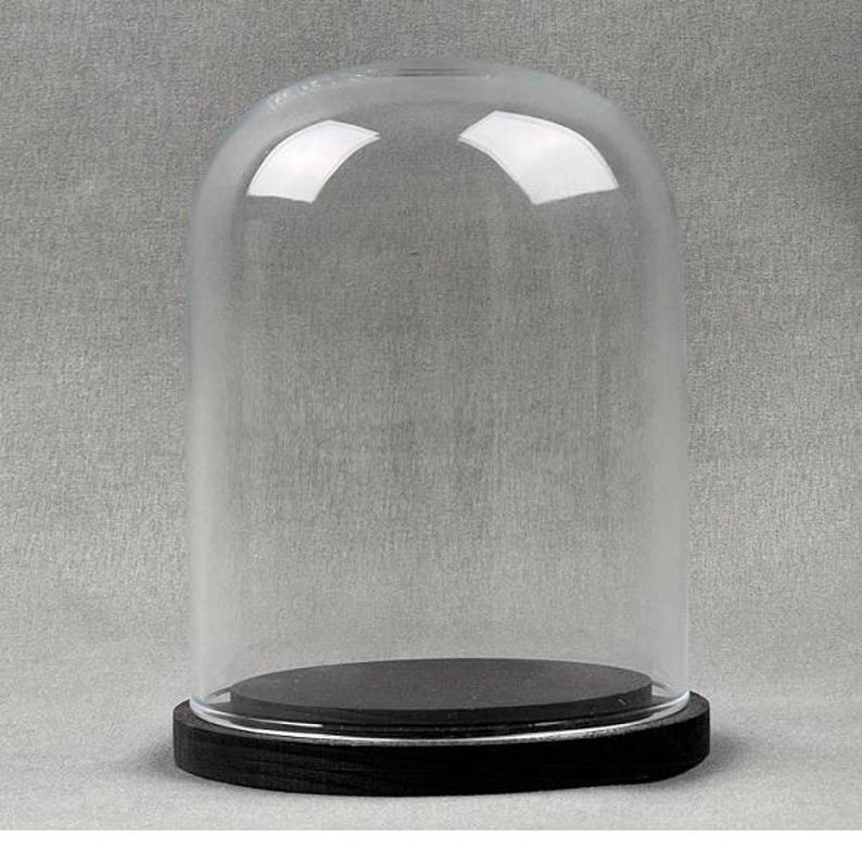 EMH Small Glass Dome Display Cloche Black Wooden Base 13 X 10 Cm - Etsy