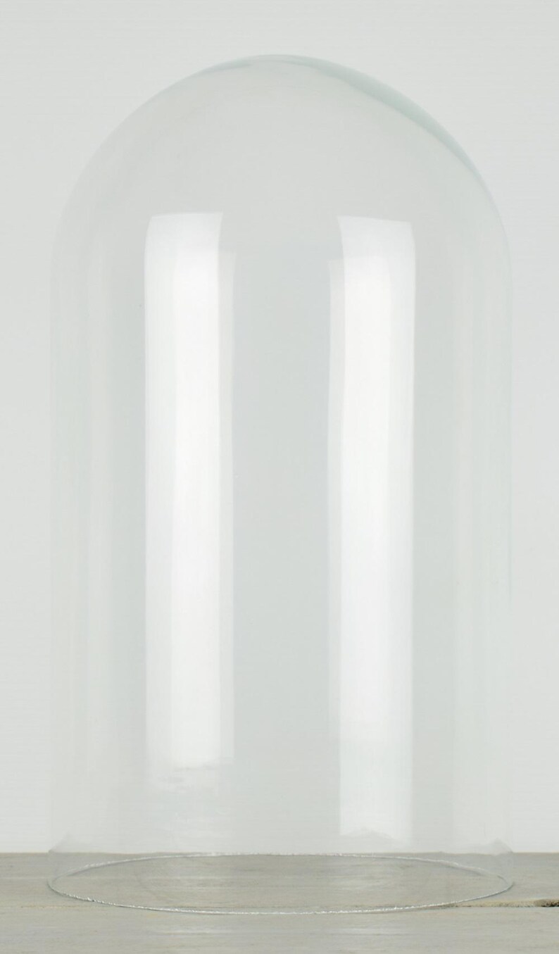 Glass Dome Display With Wooden Base Cloche Bell Jar Vintage Look 41 X ...