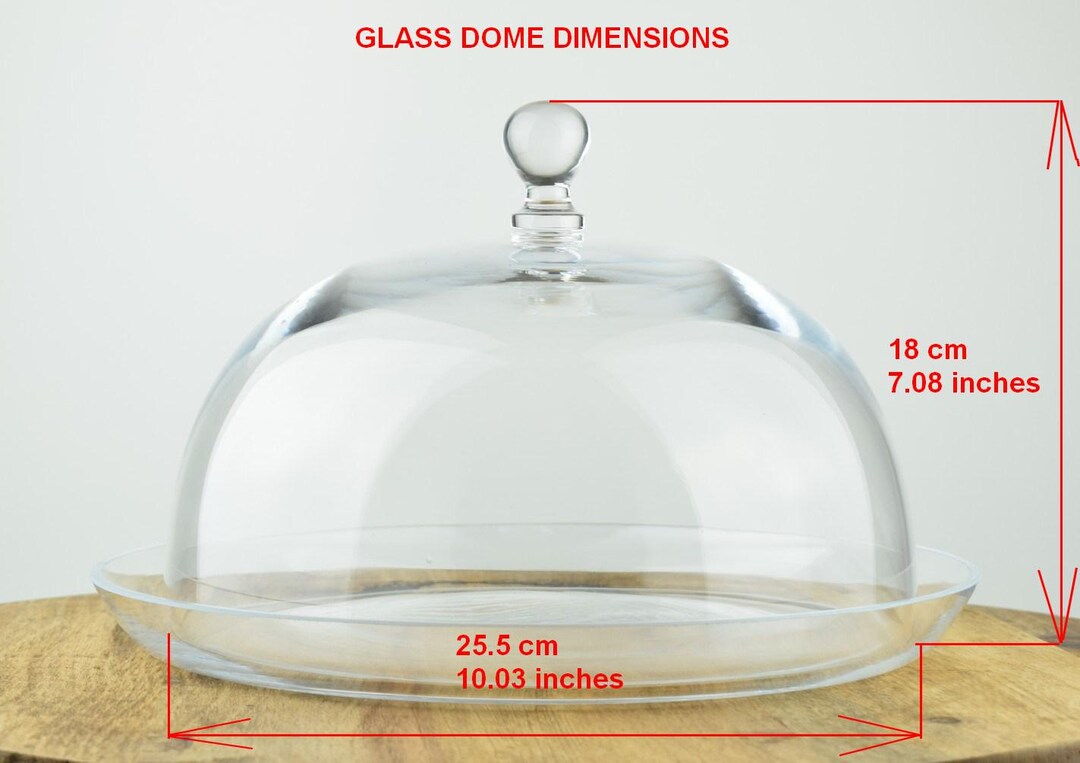EMH Handmade Glass Display Cover Cloche Dome Tall 18 X 25.5 Cm With ...