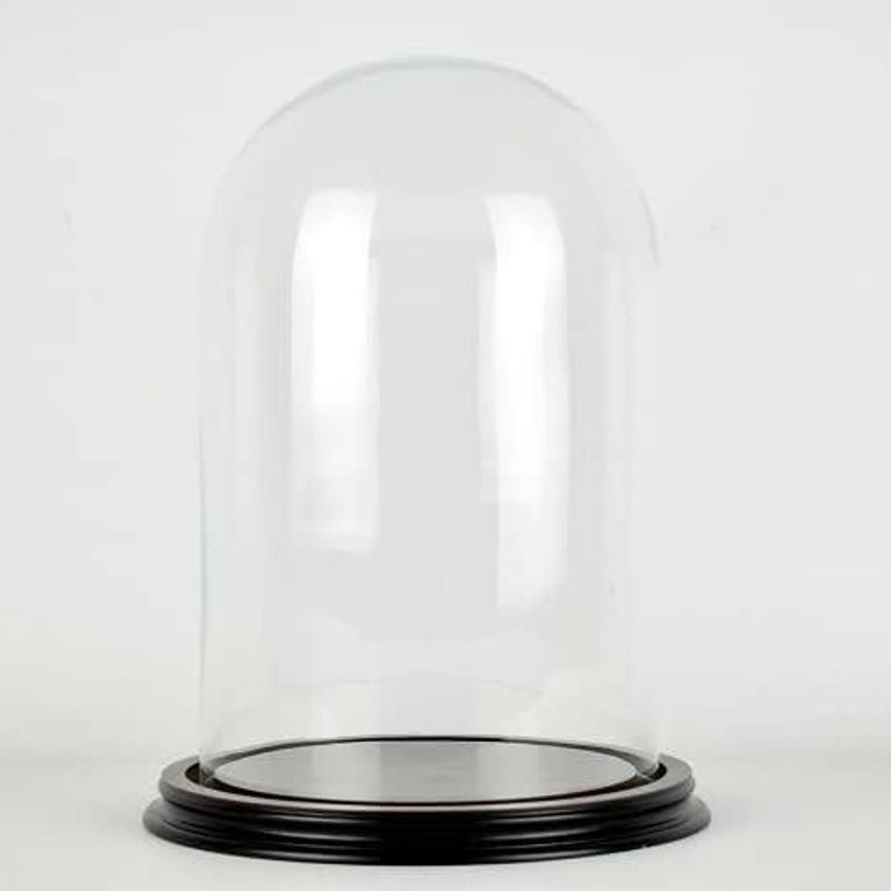 Glass Dome Display - Etsy