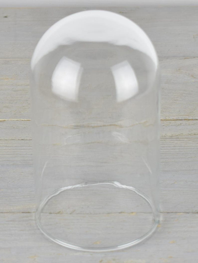 Vintage Look Small Glass Display Dome Height 16 X 9 Cm - Etsy
