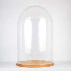 Large Glass Dome Cover Cloche Display With Wooden Natural Base Height ...