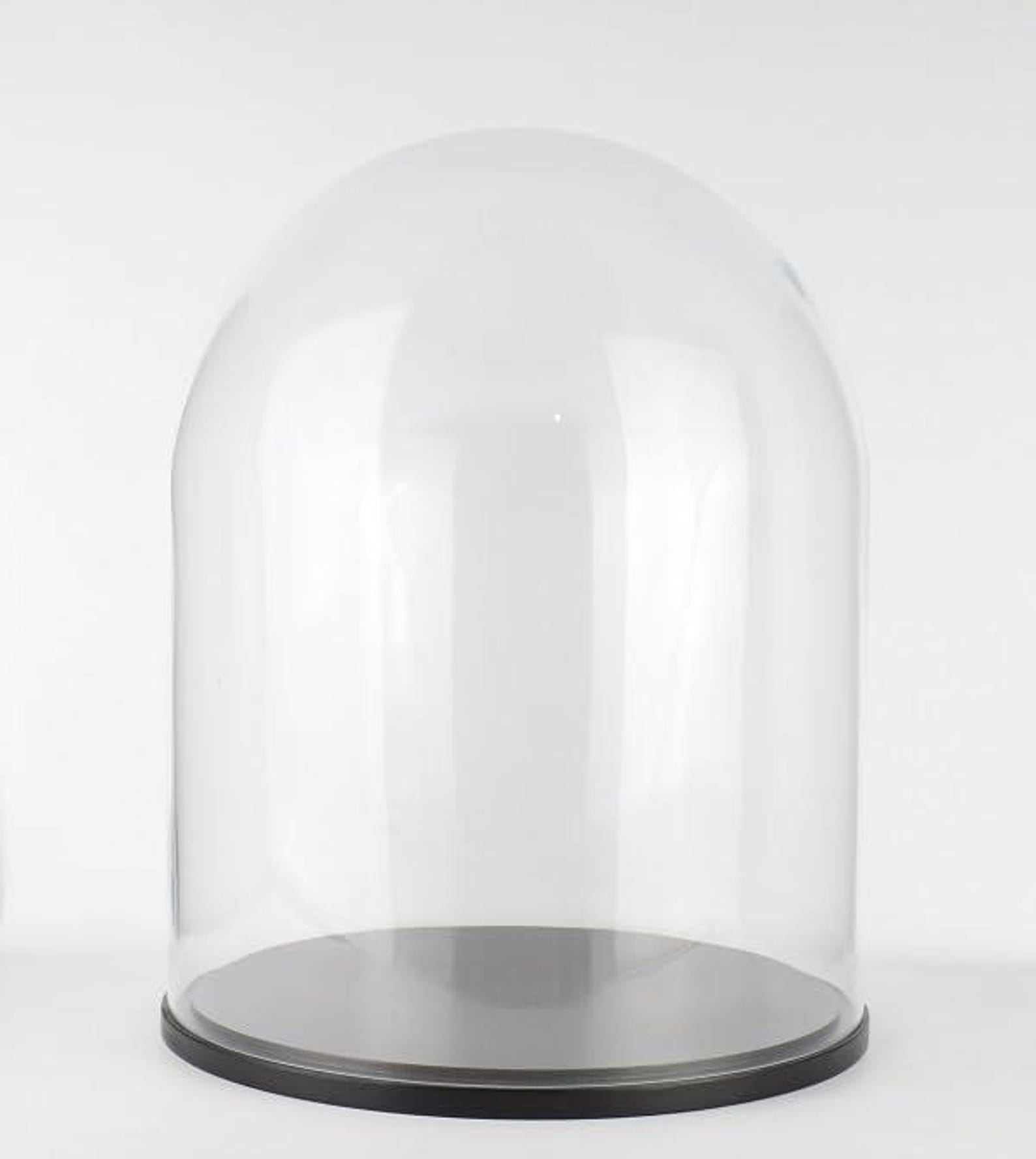 EMH Large Glass Dome Display Cloche Bell With Wooden Black Base 45 X 35 ...