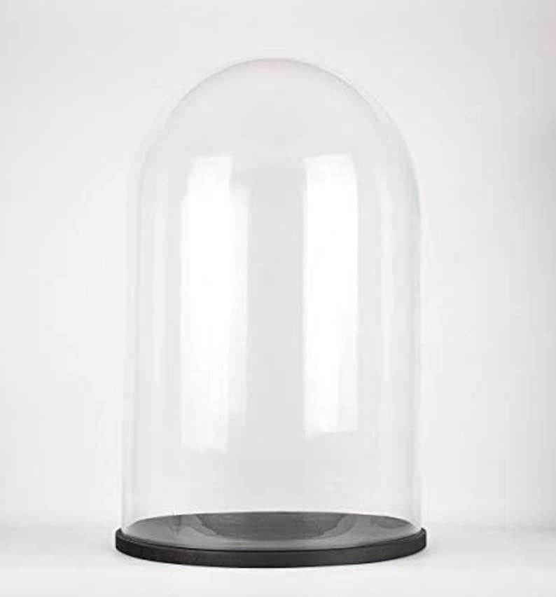 EMH Large Glass Dome Cover Cloche Display With Black Wooden Base Height ...
