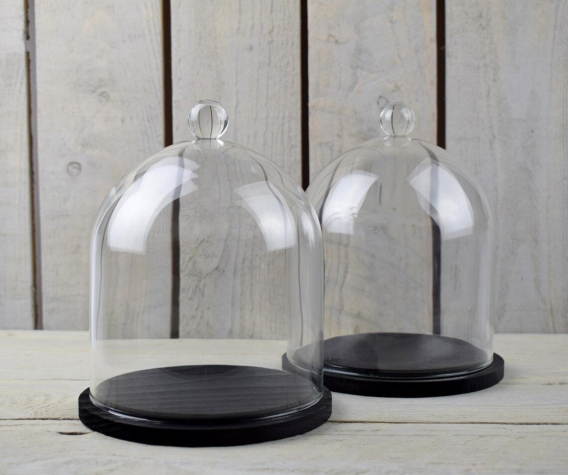 EMH Handmade Circular Glass Display Cloche Dome Bell With Knob and ...
