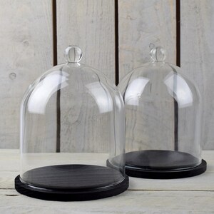 EMH Handmade Circular Glass Display Cloche Dome Bell With Knob and ...