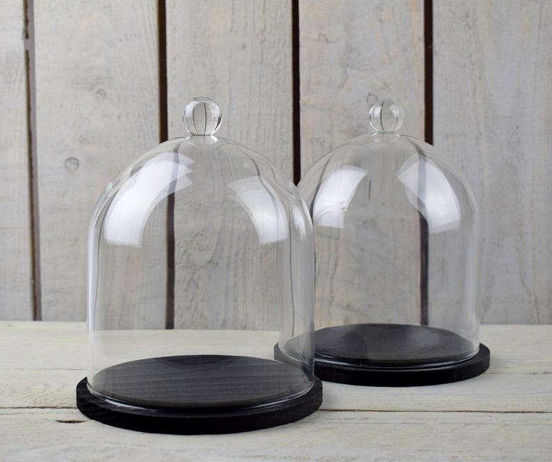 EMH Handmade Circular Glass Display Cloche Dome Bell With Knob and ...