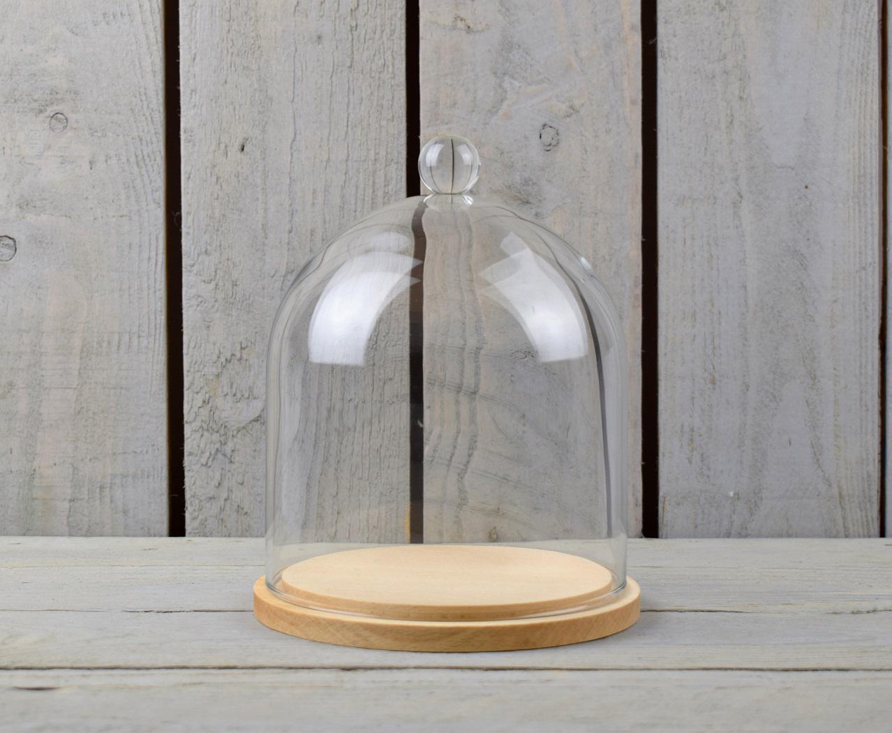 EMH Handmade Circular Glass Display Cloche Dome Bell With Knob and ...