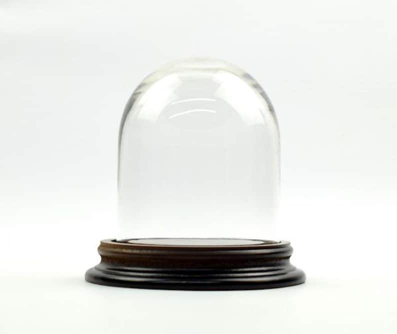 Vintage Look Small Glass Dome With Wooden Base Height 11.5 X 8 Cm - Etsy