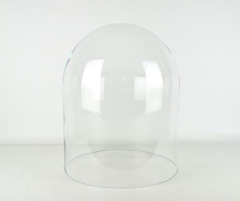 Large Glass Dome Display Cloche Terrarium 44.5 X 35.5 Cm With Hole - Etsy
