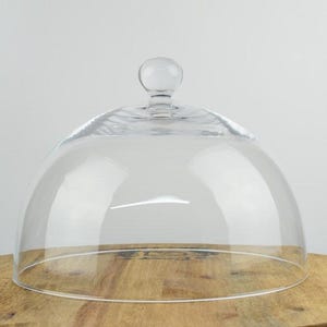 Handmade Glass Display Cover Cloche Dome With Plate Tall 20 Cm X 30 Cm ...