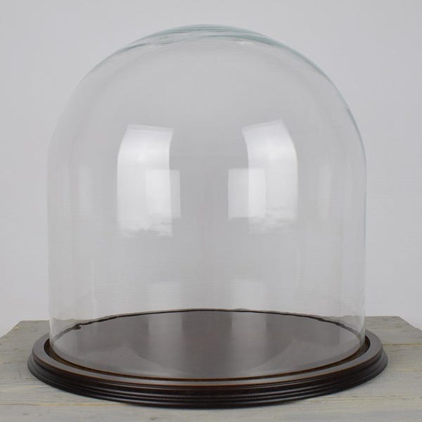 Glass Dome Display - Etsy