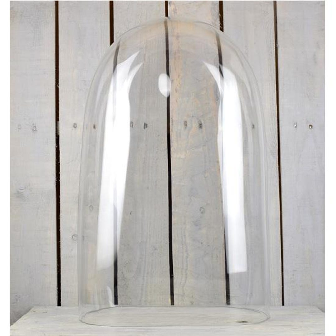 Mouth Blown Clear Oval Glass Display Cloche Bell Dome 55 X 33,2 X 16 ...