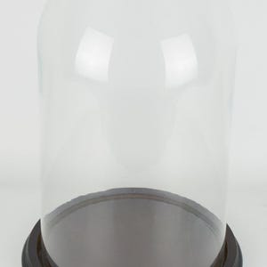 Glass Dome Display With Wooden Base Cloche Bell Jar Vintage Look 41 X ...