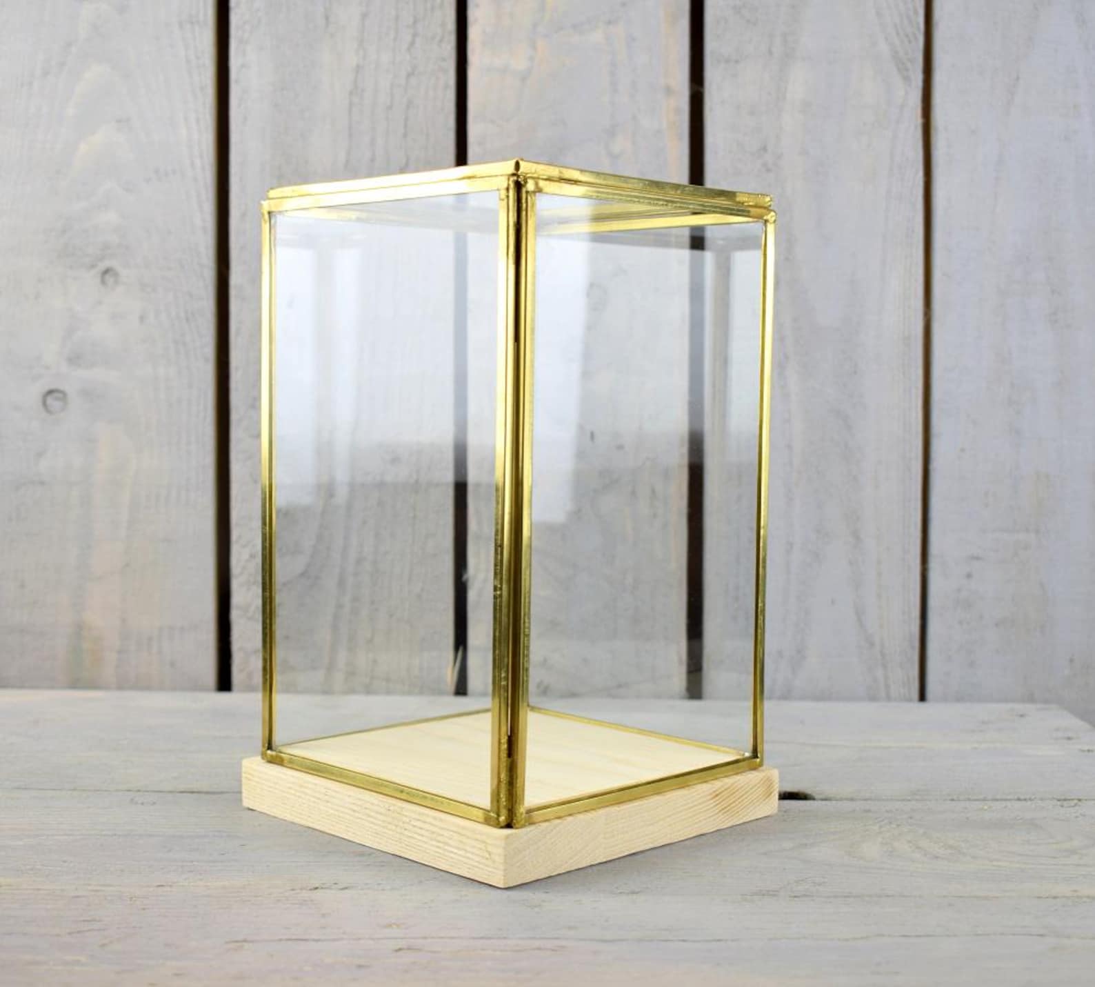 Glass and Brass Display Showcase Box Dome With Wooden Base Tall 23.5 Cm ...