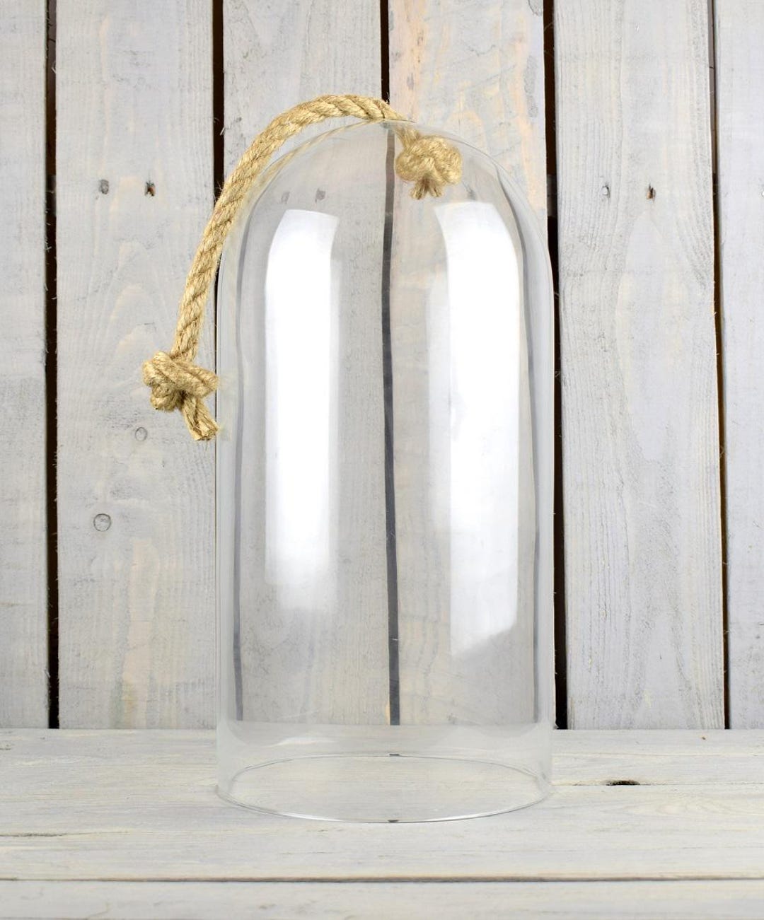 Large Glass Dome Display Cloche Terrarium Moss 40 Cm With Hole and Jute ...