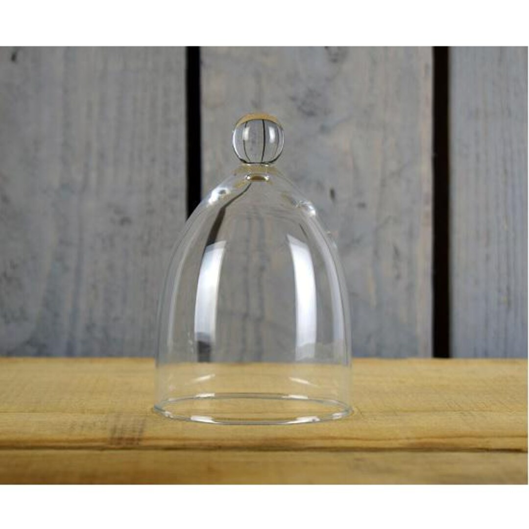 Small Mouth Blown Glass Display Cover Cloche Bell Jar Dome Centrepiece ...