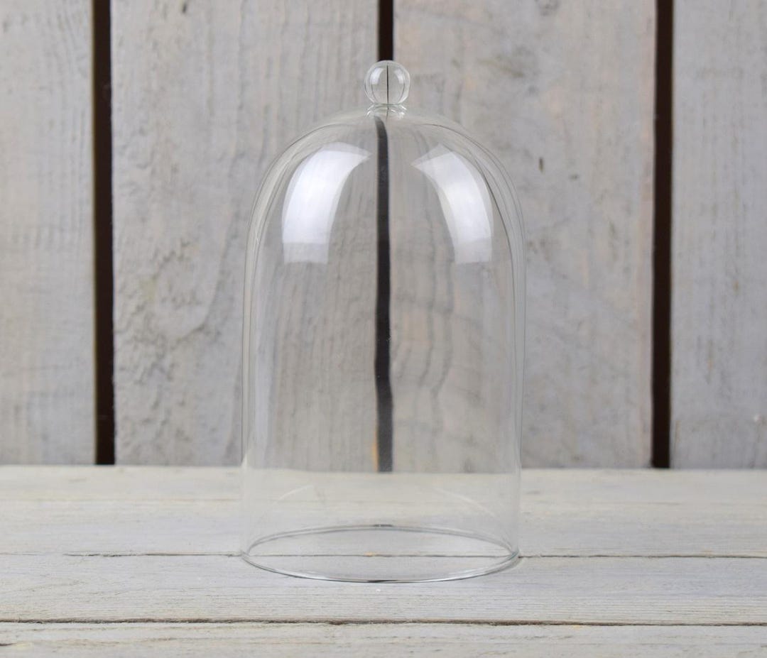 EMH Small Glass Dome Display Cloche Height With Knob 17.5 X 10 Cm - Etsy