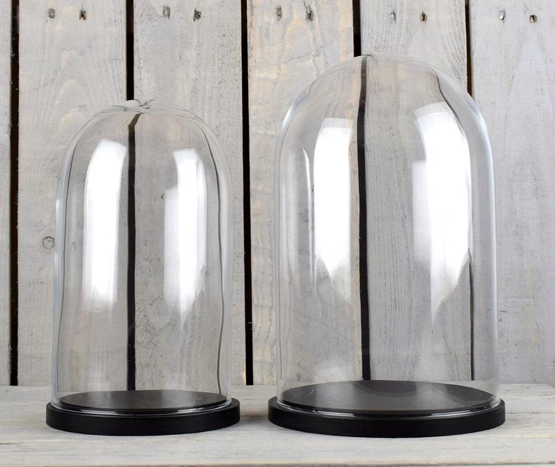 Large Glass Dome Cover Cloche Display With Black Wooden Base Height 41. ...