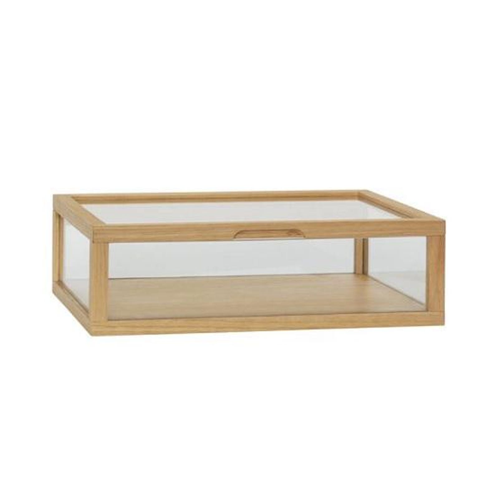 Small Display Oak & Glass Box - Etsy