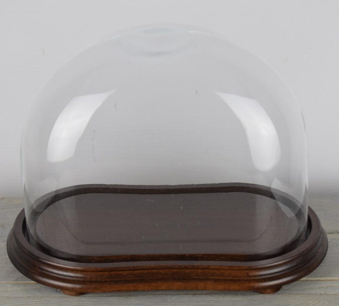 Vintage Look Medium Oval Glass Dome With Wooden Base H:40 X 37 X 19 Cm ...