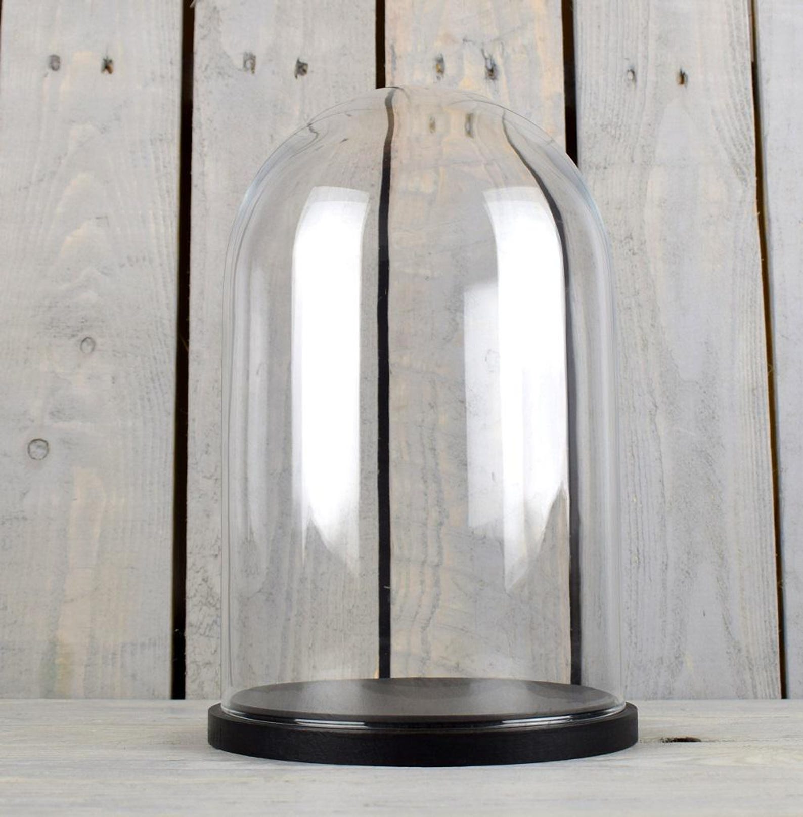 EMH Small Glass Dome Display Cloche Black Base Height 16 X 10 Cm - Etsy