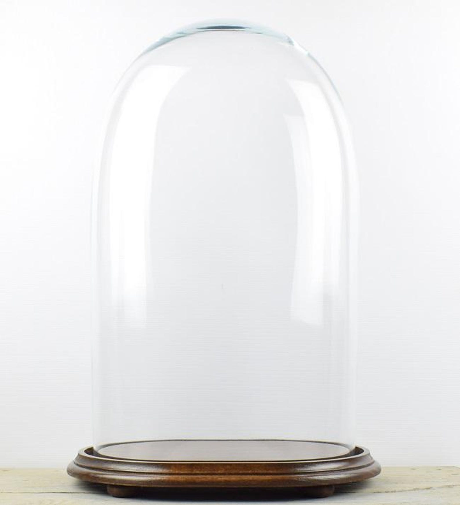 EMH Handmade Mouth Blown Clear Oval Glass Display Cloche Bell Dome With ...